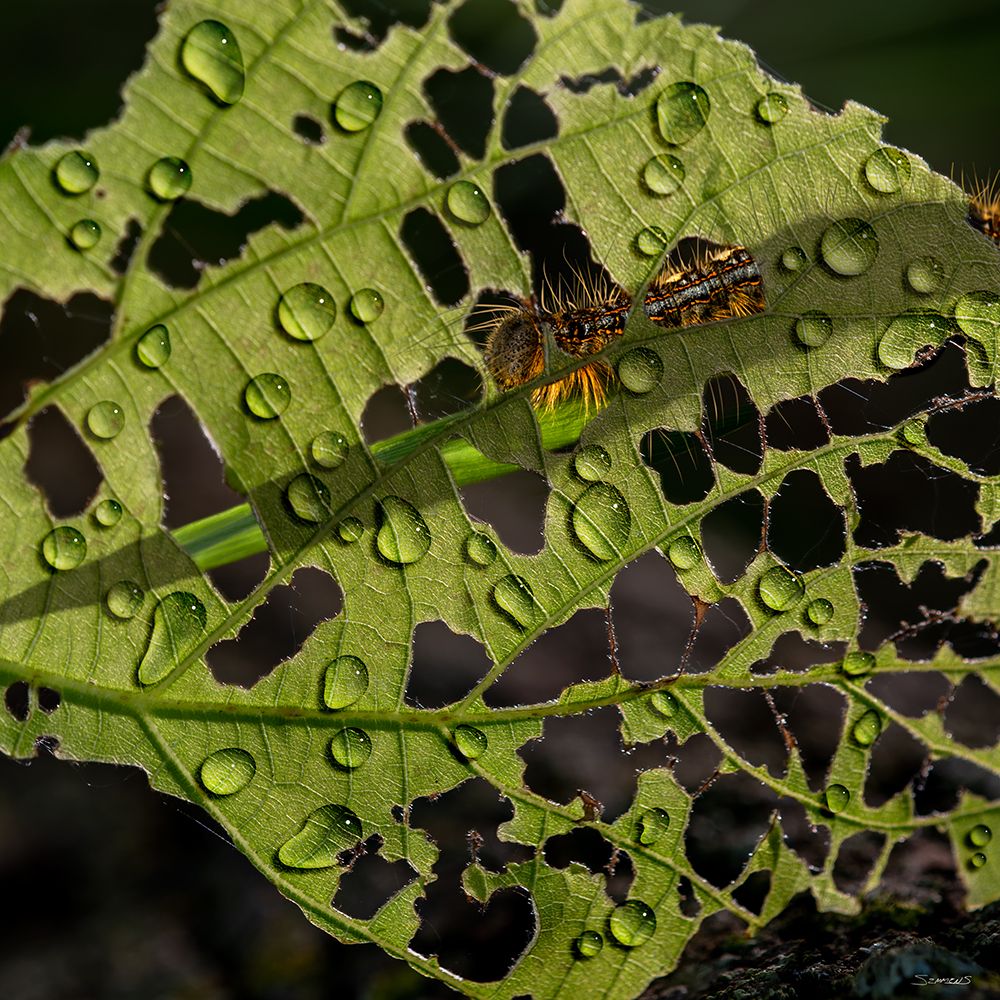 Textures 12 - Southside Gallery