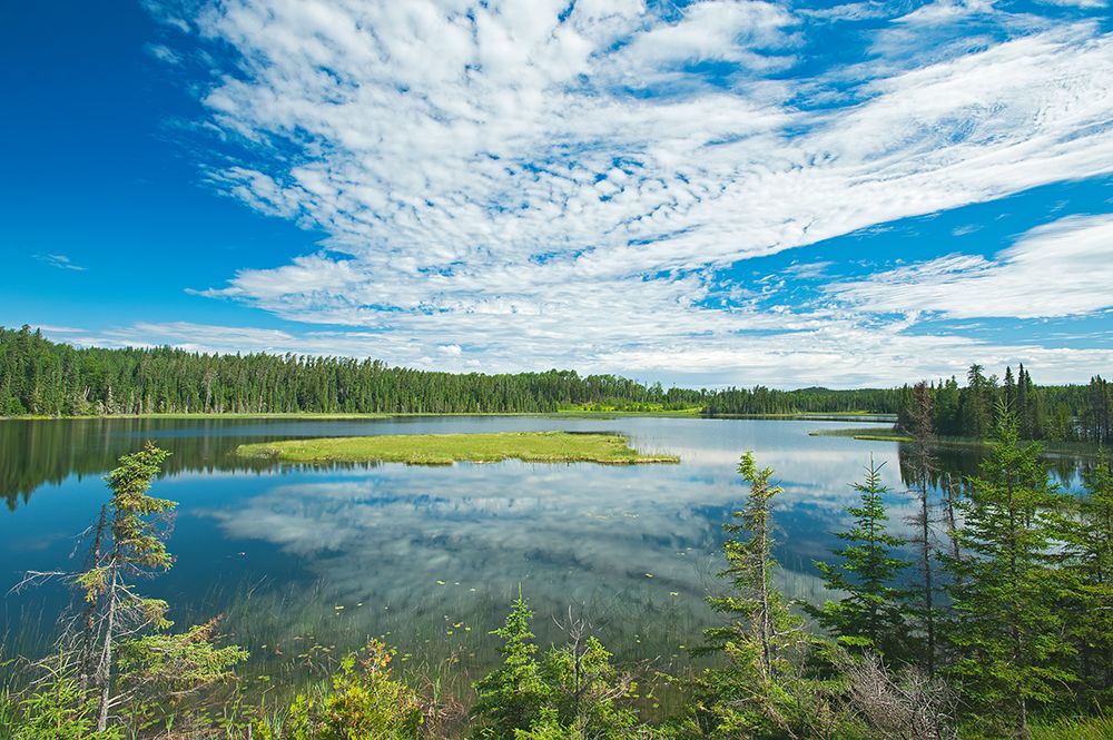 Canada-Ontario-Longlac. Clouds and wetland in a boreal forest ...