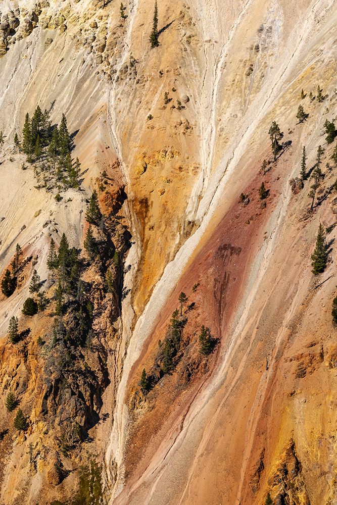 Steep colorful canyon walls of hydrothermally altered rhyolite-Grand ...